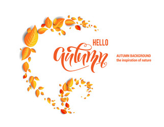 Autumn border with bright leaves transparent Vector Image