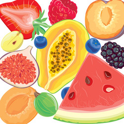 Fruit mix Royalty Free Vector Image - VectorStock