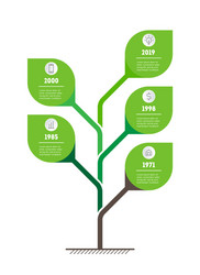 Green tree - background and infographics Vector Image