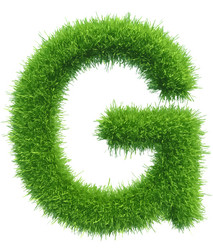 Capital letter g from grass on white Royalty Free Vector