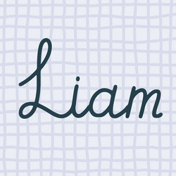 Portrait a boy and liam inscription in flat Vector Image
