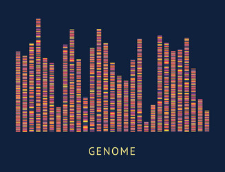 Genome Map Vector Images (over 350)