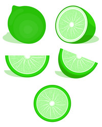 Lime Vector Images (over 180,000)