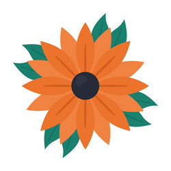 Rustic design Royalty Free Vector Image - VectorStock