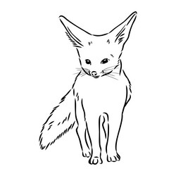 Fenek Vector Images (55)