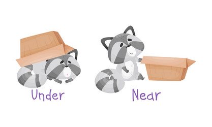 Cat Under Box Vector Images (30)
