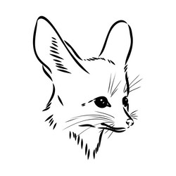 Fenek Vector Images (55)