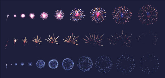 Realistic firework animation effect pyrotechnics Vector Image