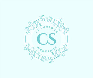 Cs initials letter wedding monogram logos Vector Image