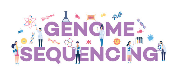 Sequencing Vector Images (over 41,000)