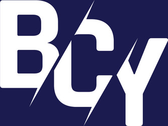 Bcy Vector Images (33)