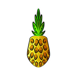 Pineapple Tart Vector Images (73)