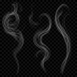 Translucent Gray Smoke Swirls Royalty Free Vector Image