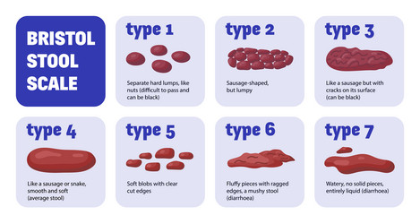 Bristol stool chart with medicine description Vector Image