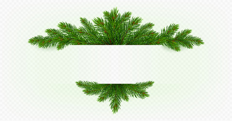 Realistic rectangular pine tree frame Royalty Free Vector