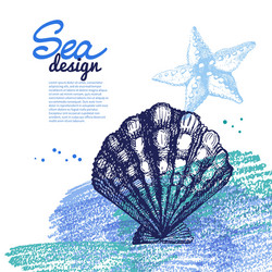 Seashell banner sea nautical design Royalty Free Vector