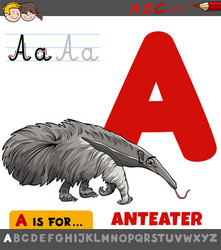 Cute anteater on a green meadow walking Royalty Free Vector