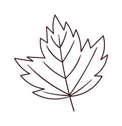 Leaf line art contour drawing minimalism art Vector Image