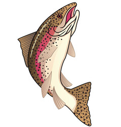 Trout Vector Images (over 11,000)