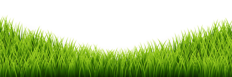 Green grass border set on transparent background Vector Image