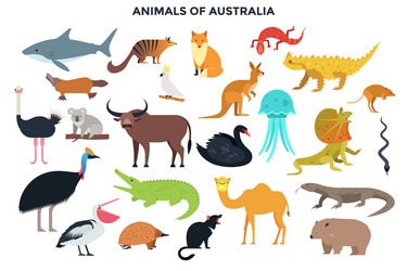 Kangaroo Infographic Vector Images (98)