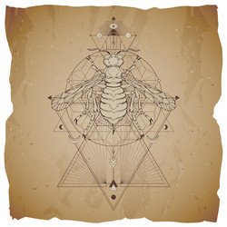 Bee Sacred Geometry Vector Images (98)