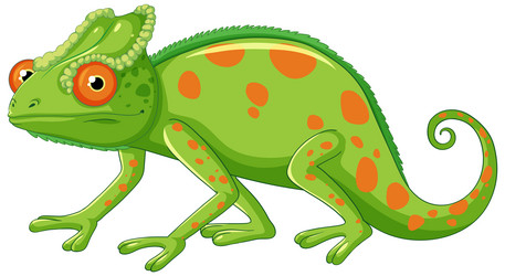 Cute colourful chameleon cartoon isolated Vector Image