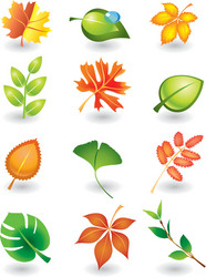 Tree leafs and nature icons Royalty Free Vector Image