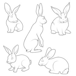 Cute bunny rabbit outline sketch line art Vector Image