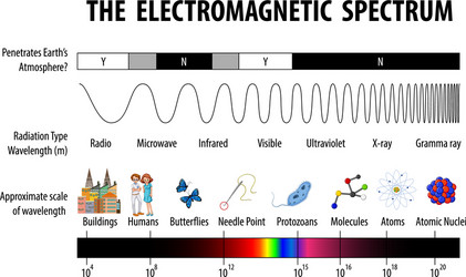 Science electromagnetic spectrum diagram Vector Image