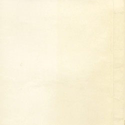 Rustic Paper Texture