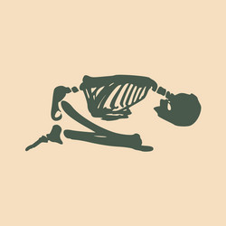 Skeleton bever Royalty Free Vector Image - VectorStock