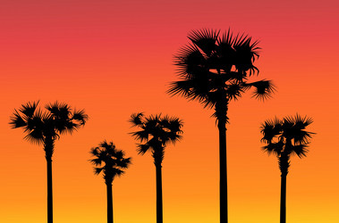 Palm Tree Vector Images (over 140,000)