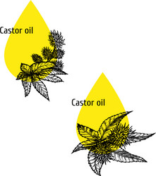 Castor frame Royalty Free Vector Image - VectorStock