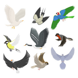 Flying bird animation Royalty Free Vector Image