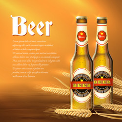 Beer label background Royalty Free Vector Image