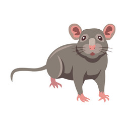 Cute grey mouse cartoon little house Royalty Free Vector