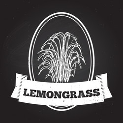 Citronella Vector Images (over 100)