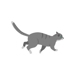 Cute cat cartoon character walking Royalty Free Vector Image