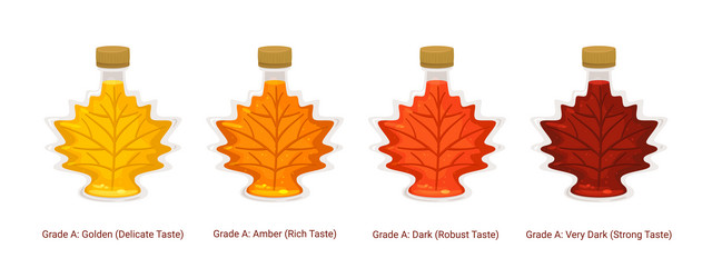 Maple Syrup Cartoon Vector Images (over 990)