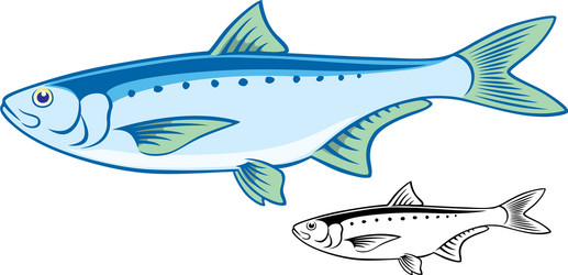 Cartoon sardine raw fish icon atlantic ocean Vector Image