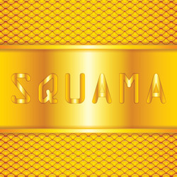 Squama Vector Images (over 1,200)