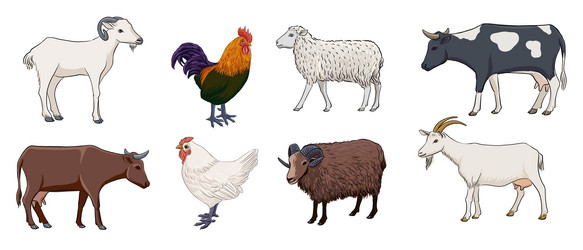 Drawing domestic animals Royalty Free Vector Image