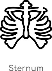 Sternum Vector Images (over 540)
