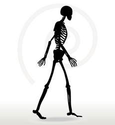 Side view skeleton silhouette Royalty Free Vector Image