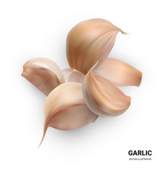 Realistic fresh garlic composition Royalty Free Vector Image