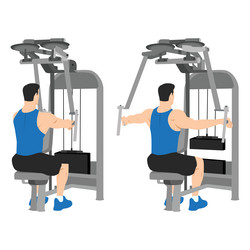 Man doing seated lateral raise machine power Vector Image