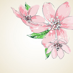 Floral background in spring colors flowers Vector Image