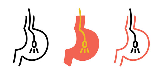 Endoscopy icon set gastrointestinal endoscope Vector Image