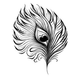Peacock bird hand drawn sketch Royalty Free Vector Image